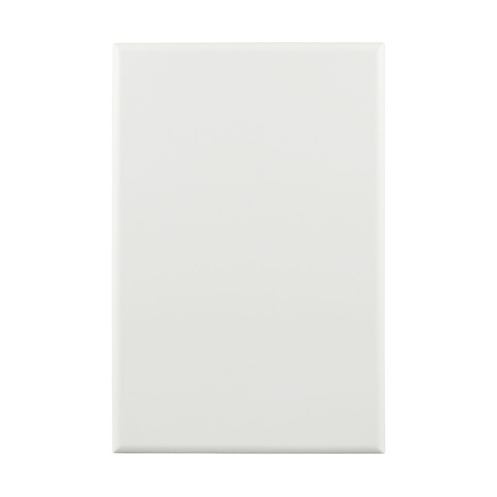 Stainless Steel GPO Double 10A 250V AC | PLATINUM Series