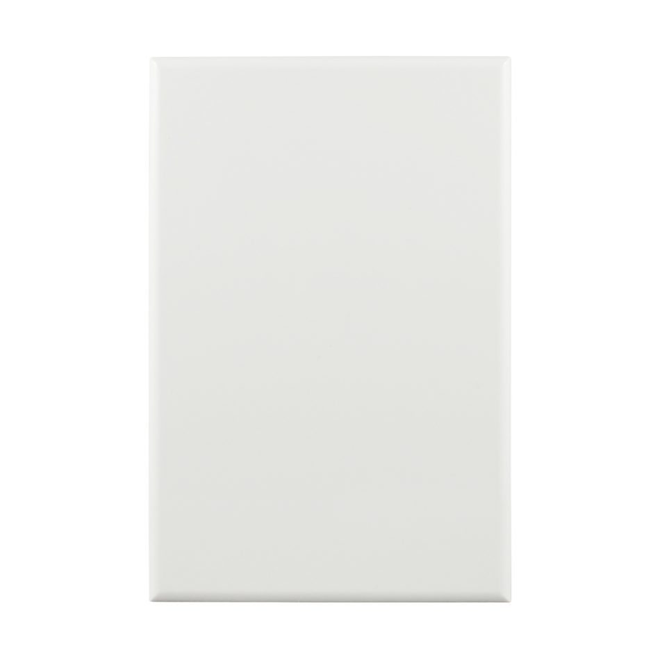 Stainless Steel GPO Double 10A 250V AC | PLATINUM Series